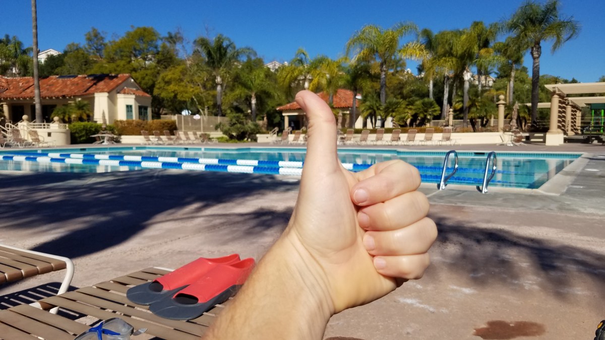 Say Hello To Mr. Flippers & Goodbye To Mr. Floaty – @oldguywhotris